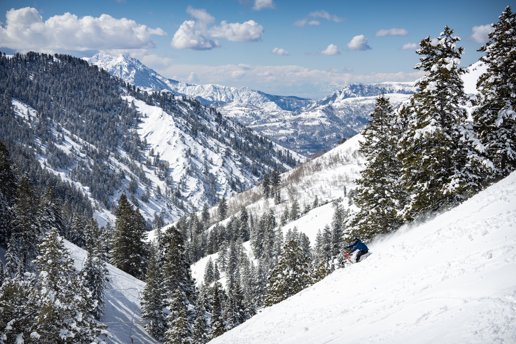 SNO-GO Launches Powder Skis - The Real Deal.